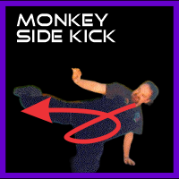 Martial Art Kung Fu Mordialloc | Shaolin Kung Fu